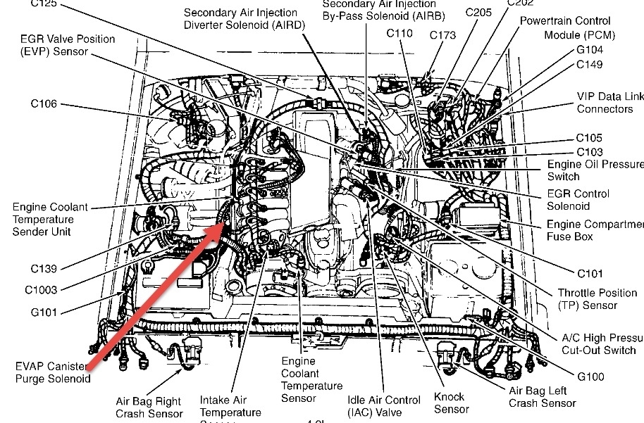 Diagram Ford F150 Evap Canister Location