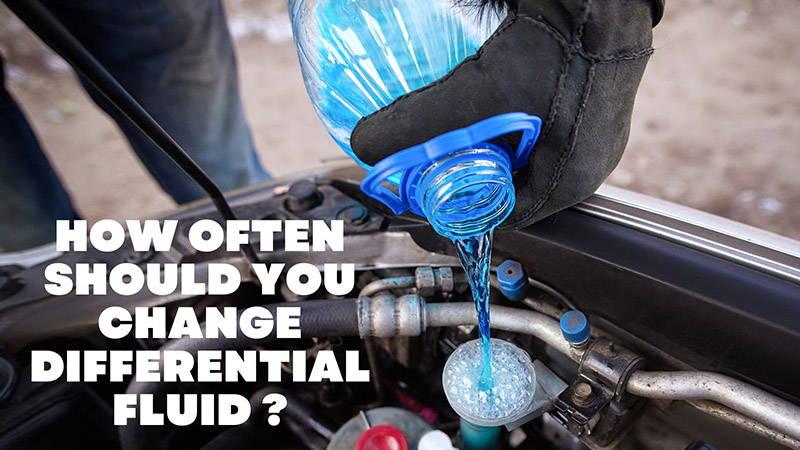 How Often Change Differential Fluid