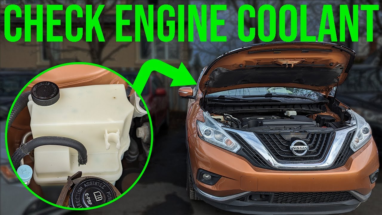 Nissan Murano Coolant Type