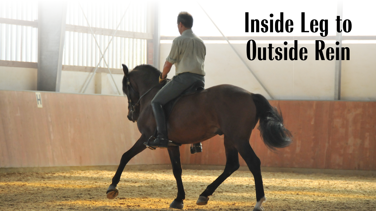 Inside Leg To Outside Rein Meme