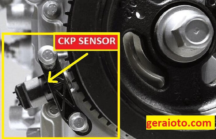 Where Is The Ckp Sensor Located
