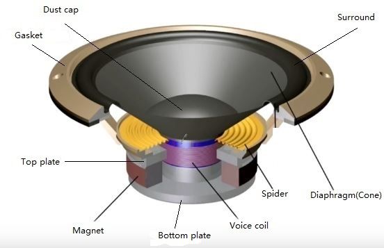 Inside Of A Speaker Diagram